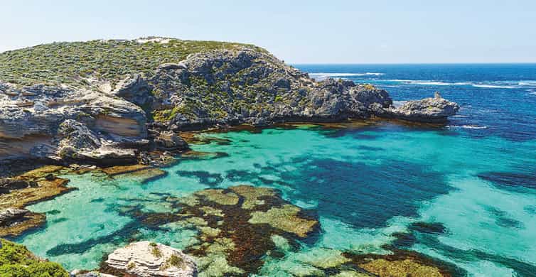 Desde Perth o Fremantle Crucero por la Isla del Marisco de Rottnest ...
