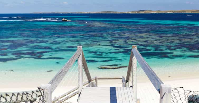 Desde Perth o Fremantle Crucero por la Isla del Marisco de Rottnest ...
