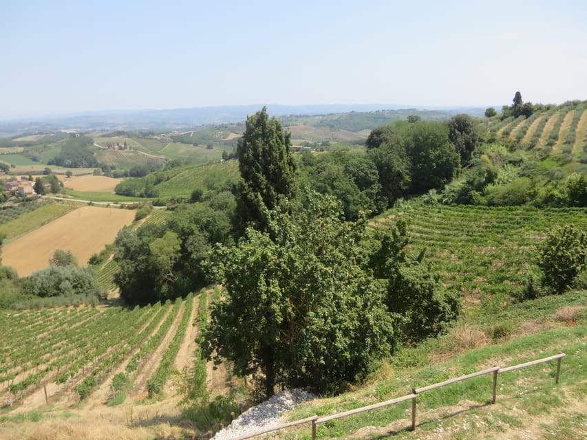 Desde Roma: Ruta del Vino por la Toscana | GetYourGuide