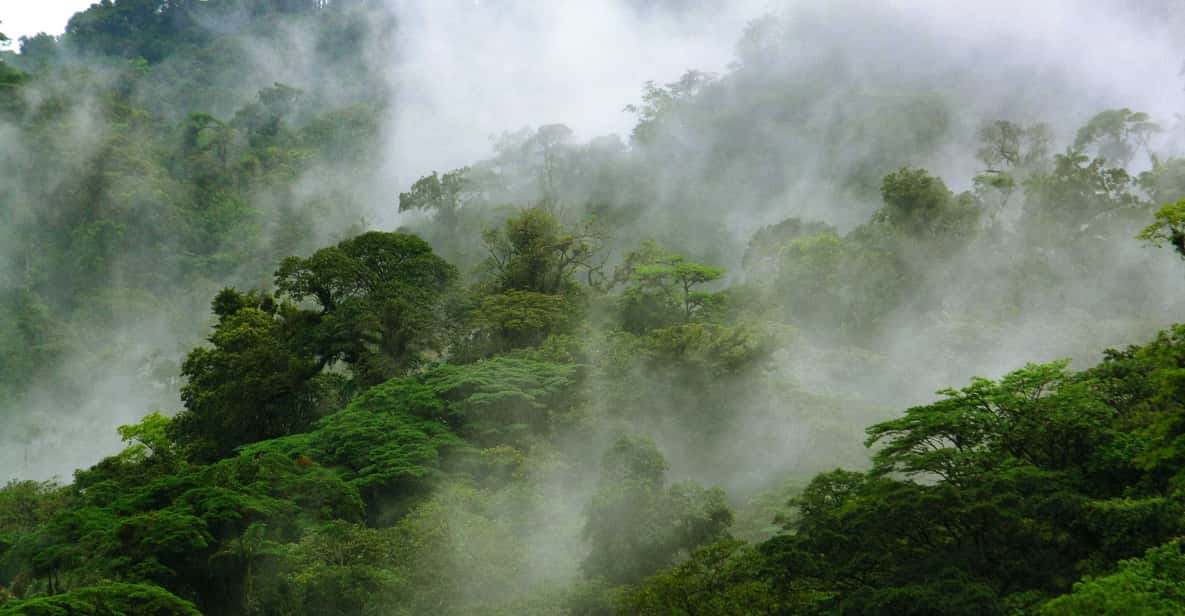 Costa Rica: Children's Eternal Rainforest Expedition | GetYourGuide