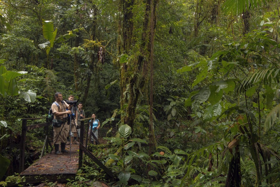 Costa Rica: Children's Eternal Rainforest Expedition | GetYourGuide