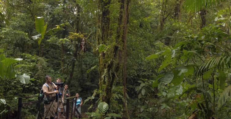Costa Rica: Children's Eternal Rainforest Expedition | GetYourGuide