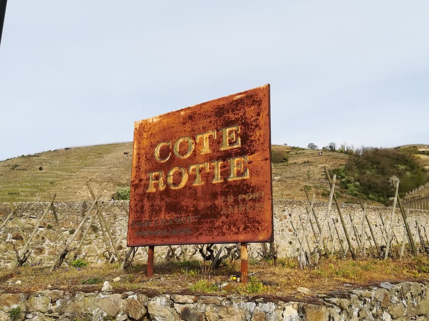 Lyon: Half-Day Vienne & Côte-Rotie Wine Tasting Tour | GetYourGuide