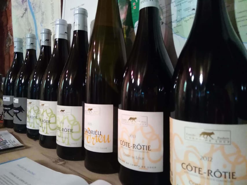 Lyon: Half-Day Vienne & Côte-Rotie Wine Tasting Tour | GetYourGuide