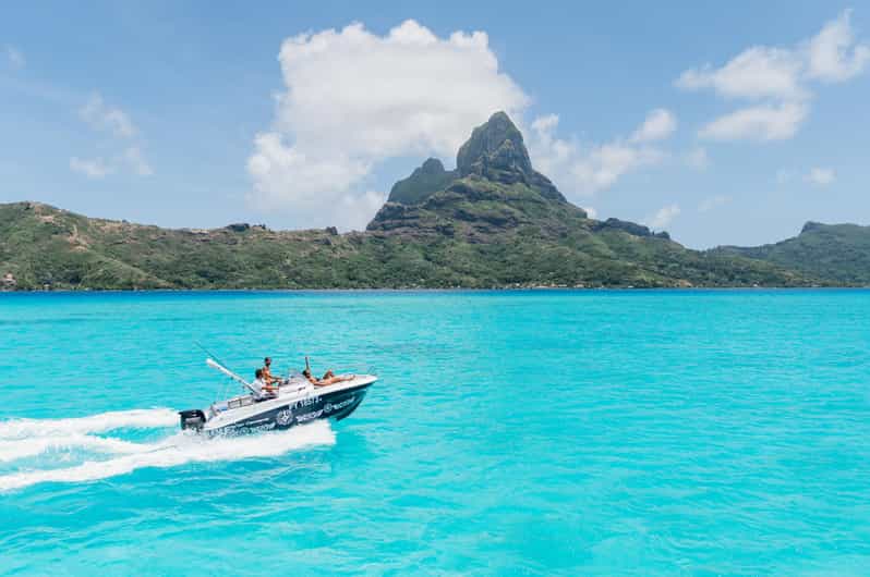 Bora Bora Lagoon Fishing | GetYourGuide