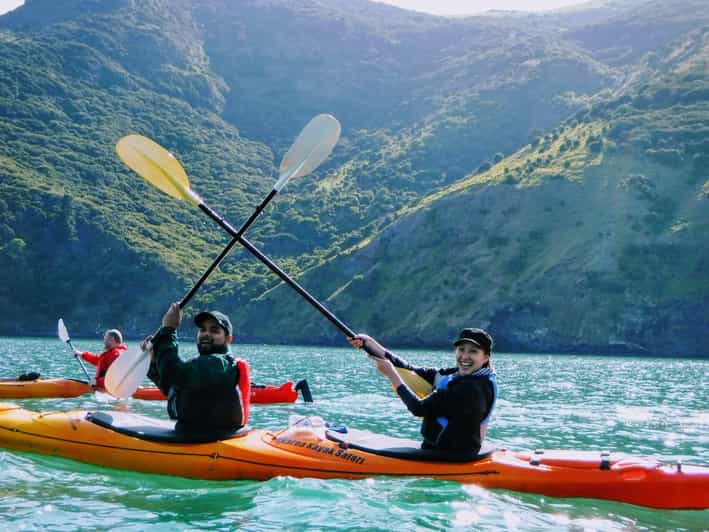 Akaroa: 3-Hour Guided Sunrise Sea Kayaking Safari | GetYourGuide