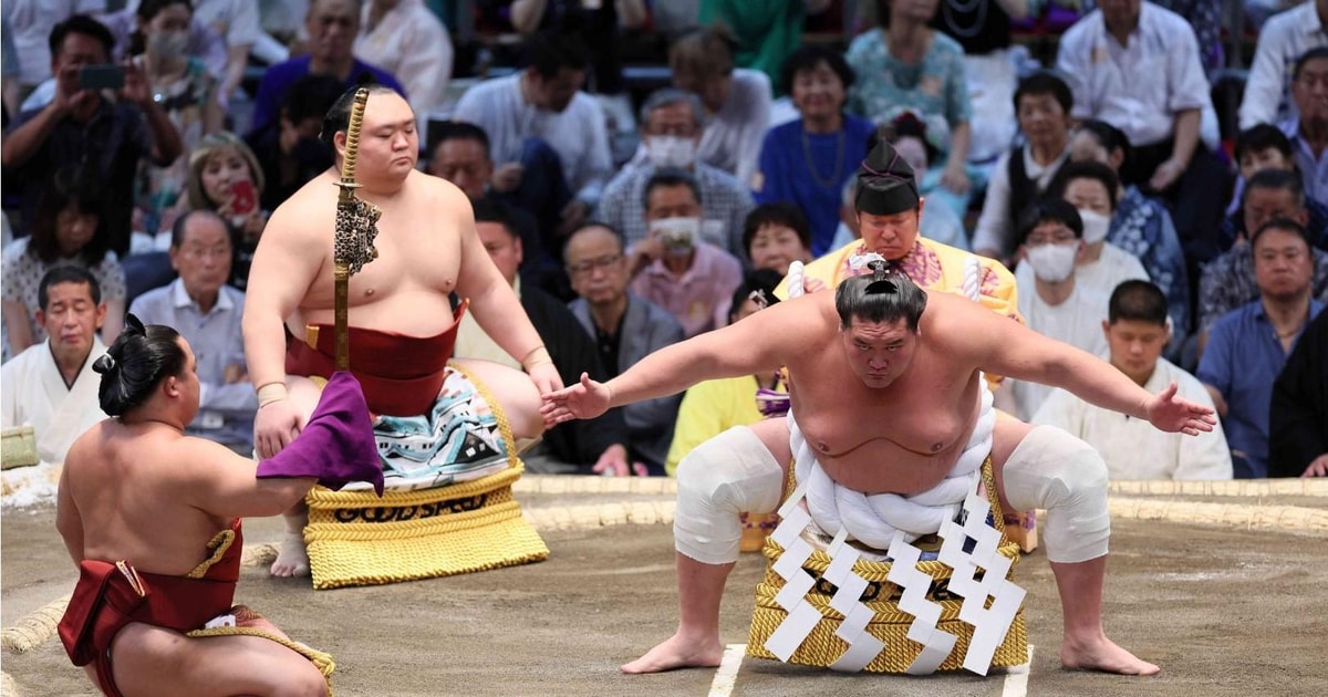 Desde Tokio: Gran Tour de Observación del Sumo de Nagoya en julio de 2024 | GetYourGuide