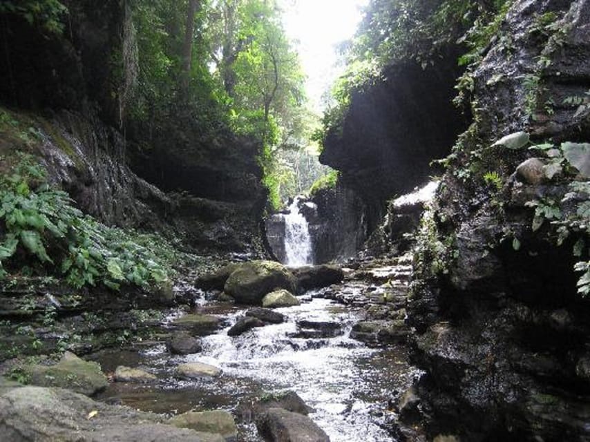 From Manila: Day Tour to Enchanting Hidden Valley | GetYourGuide