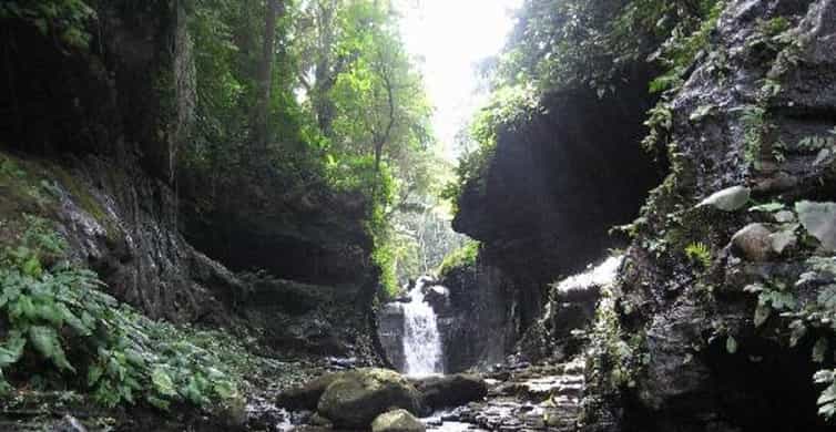 From Manila: Day Tour to Enchanting Hidden Valley | GetYourGuide