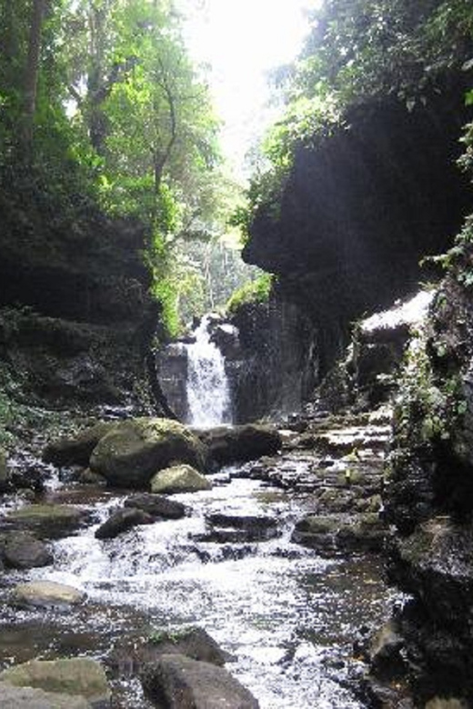 From Manila: Day Tour to Enchanting Hidden Valley | GetYourGuide