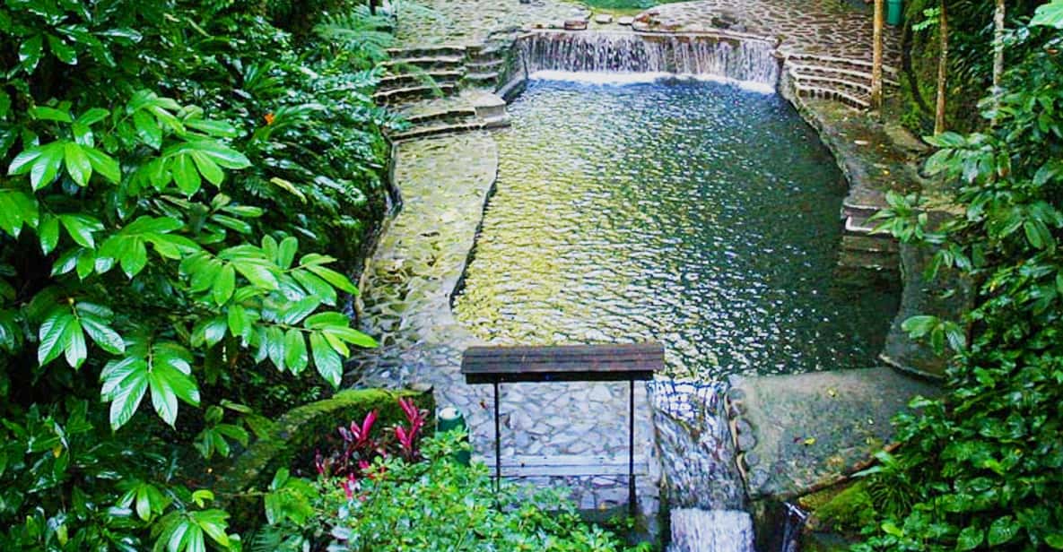 From Manila: Day Tour to Enchanting Hidden Valley | GetYourGuide