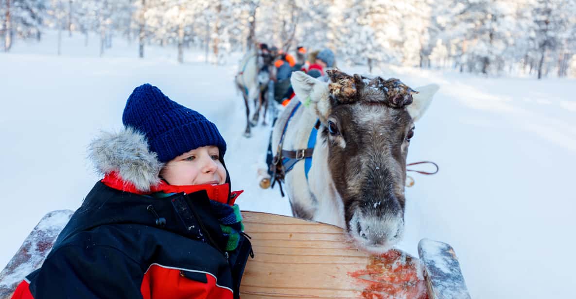 Rovaniemi: Family-friendly Snowmobile & Arctic Animals Tour | GetYourGuide