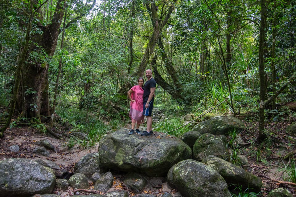 From Cairns: Daintree National Park Private Tour | GetYourGuide