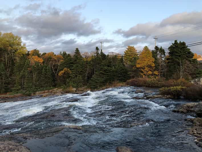 Manuels River Exhibits Access & Guided Tour | GetYourGuide