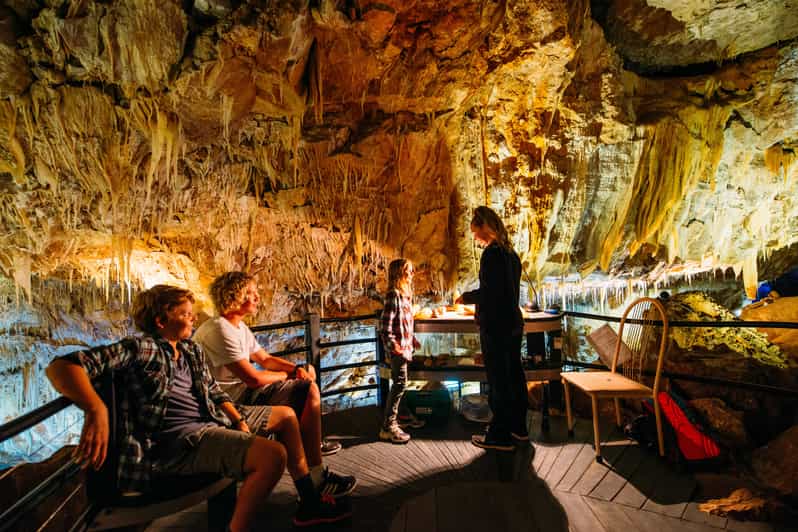 Margaret River: Ngilgi Cave Semi-Guided Tour | GetYourGuide
