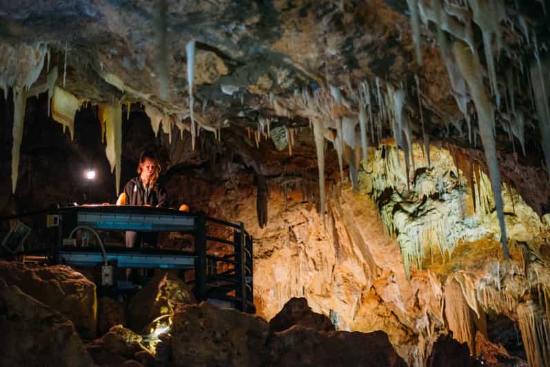 Margaret River: Ngilgi Cave Semi-Guided Tour | GetYourGuide