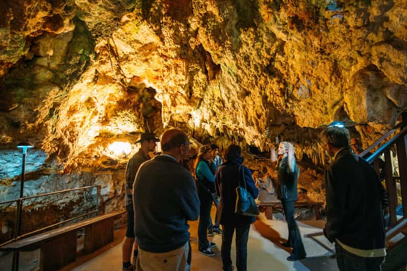 Margaret River: Ngilgi Cave Semi-Guided Tour | GetYourGuide