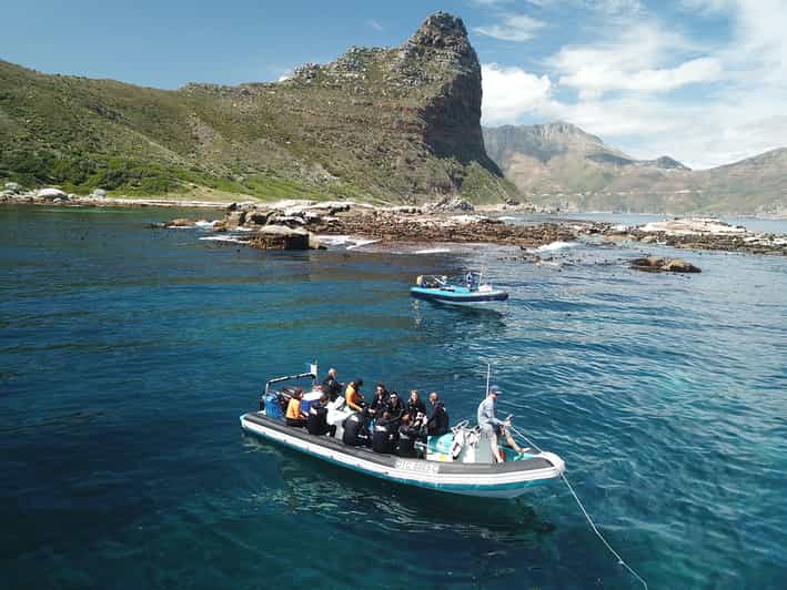 Cape Town: Seal Snorkeling at Duiker Island, Hout Bay | GetYourGuide