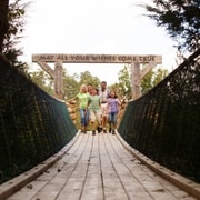 Foxfire Mountain: Hiking & Swinging Bridge Family Adventure | GetYourGuide