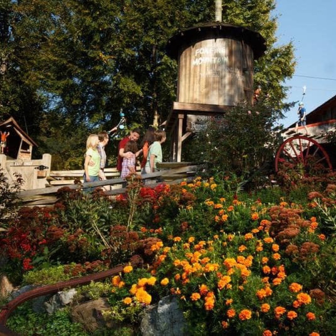 Foxfire Mountain: Hiking & Swinging Bridge Family Adventure | GetYourGuide