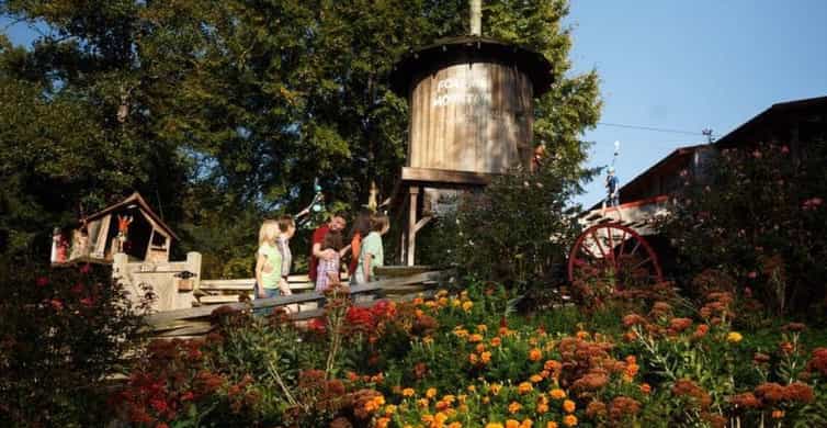 Foxfire Mountain: Hiking & Swinging Bridge Family Adventure | GetYourGuide