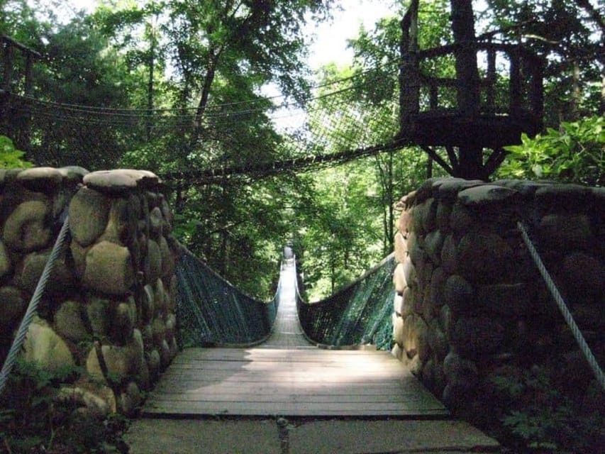 Foxfire Mountain: Hiking & Swinging Bridge Family Adventure | GetYourGuide