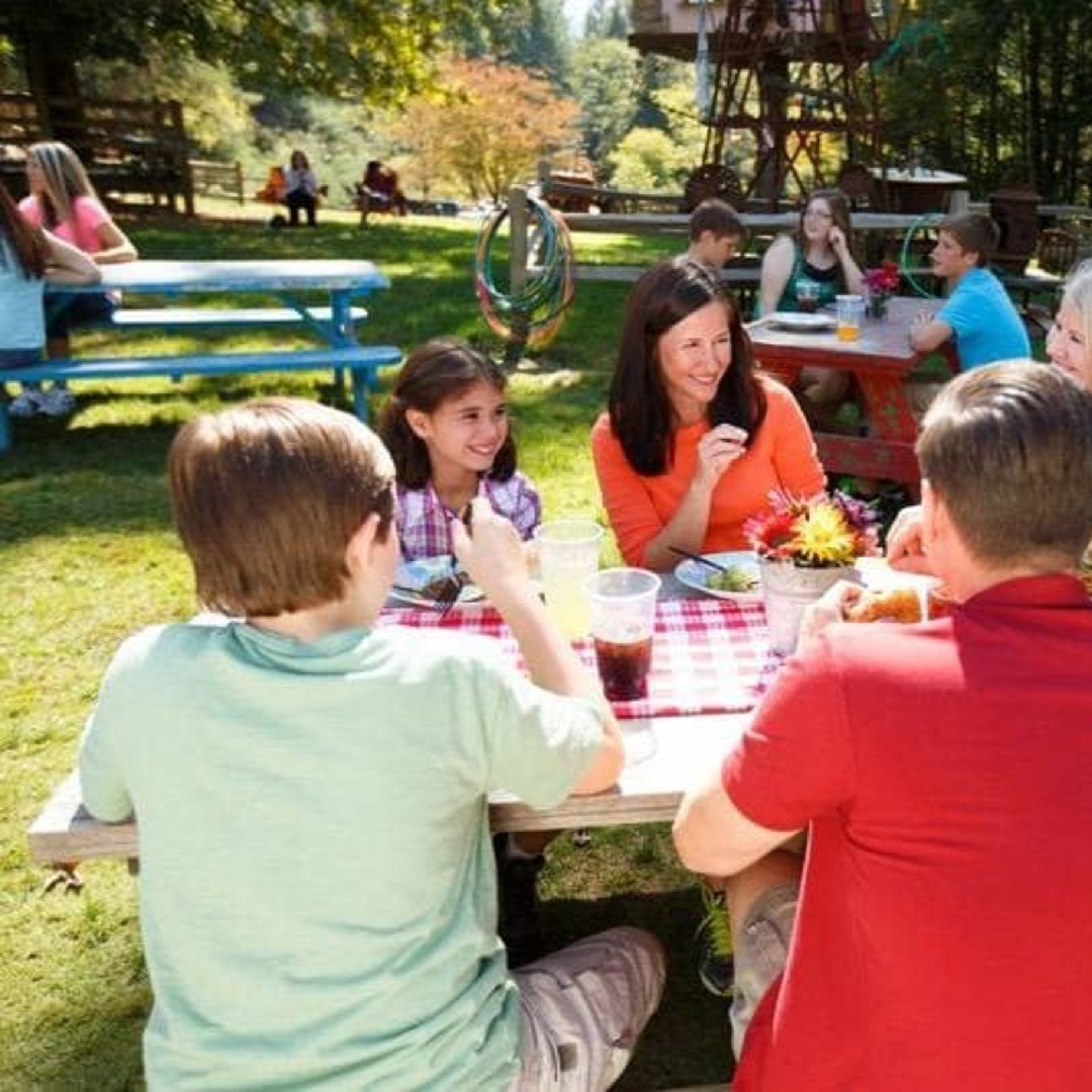 Foxfire Mountain: Hiking & Swinging Bridge Family Adventure | GetYourGuide