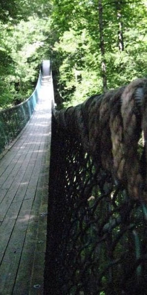 Foxfire Mountain: Hiking & Swinging Bridge Family Adventure | GetYourGuide