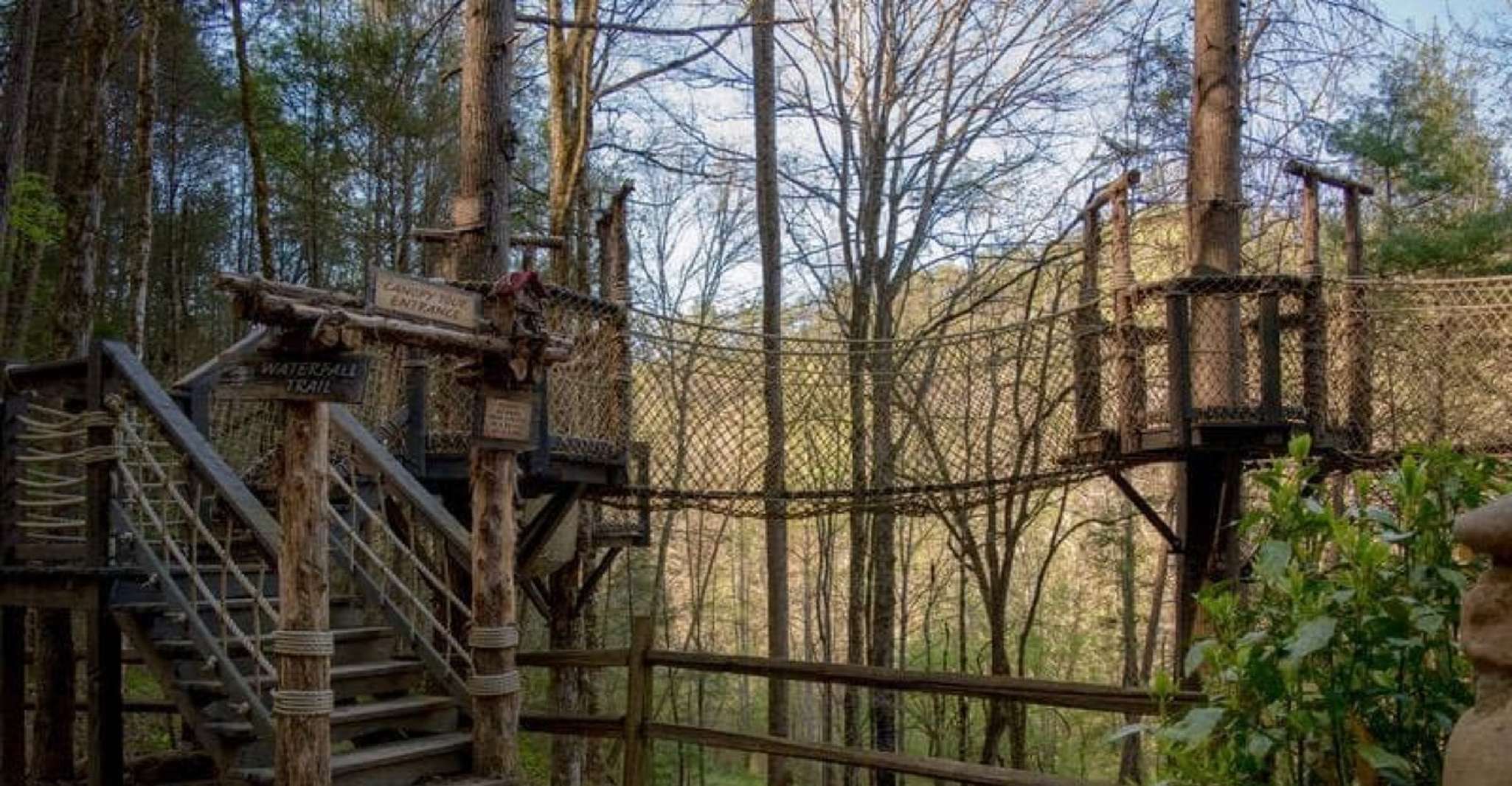 Foxfire Mountain, Hiking & Swinging Bridge Family Adventure | Entry ...