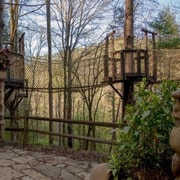 Foxfire Mountain: Hiking & Swinging Bridge Family Adventure | GetYourGuide