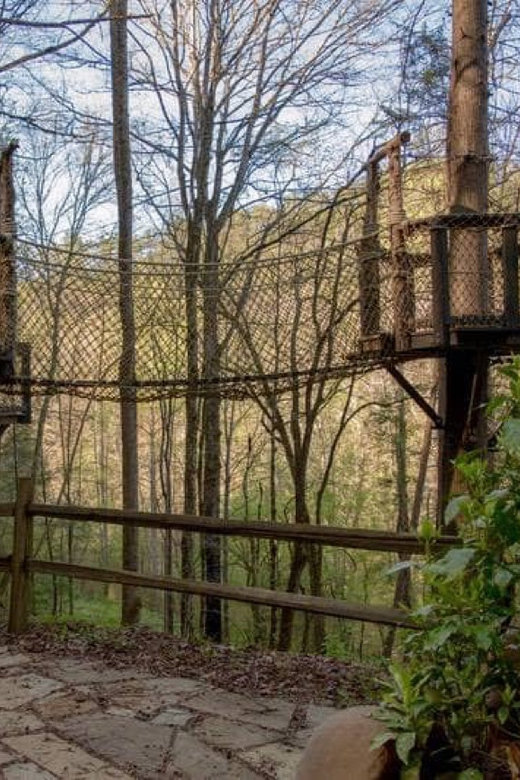 Foxfire Mountain: Hiking & Swinging Bridge Family Adventure | GetYourGuide