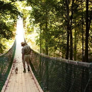 Foxfire Mountain: Hiking & Swinging Bridge Family Adventure | GetYourGuide