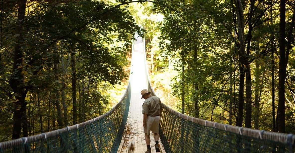 Foxfire Mountain: Hiking & Swinging Bridge Family Adventure | GetYourGuide