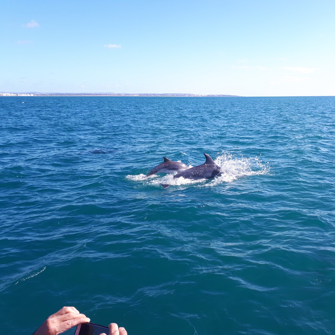 Algarve: Benagil: Εκδρομή με πλοίο στις σπηλιές του Benagil | GetYourGuide
