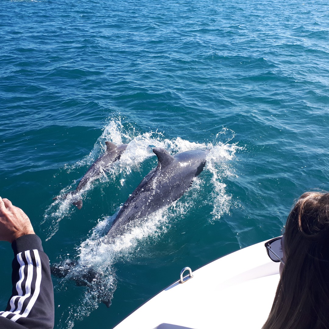 Algarve: Benagil: Εκδρομή με πλοίο στις σπηλιές του Benagil | GetYourGuide
