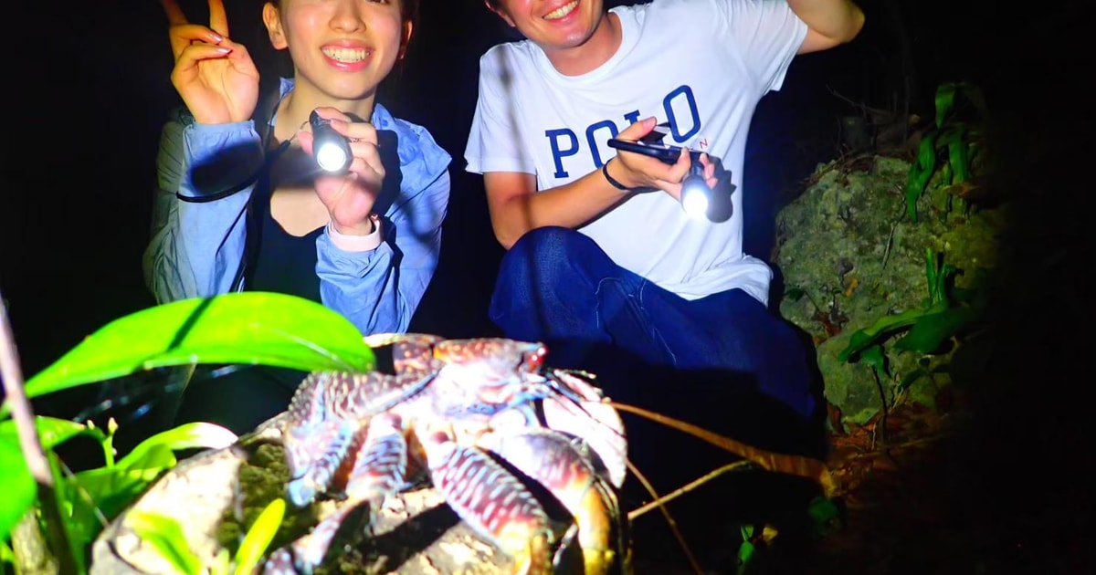 Miyakojima: Tour nocturno a pie por las Estrellas y la Selva de la Isla ...