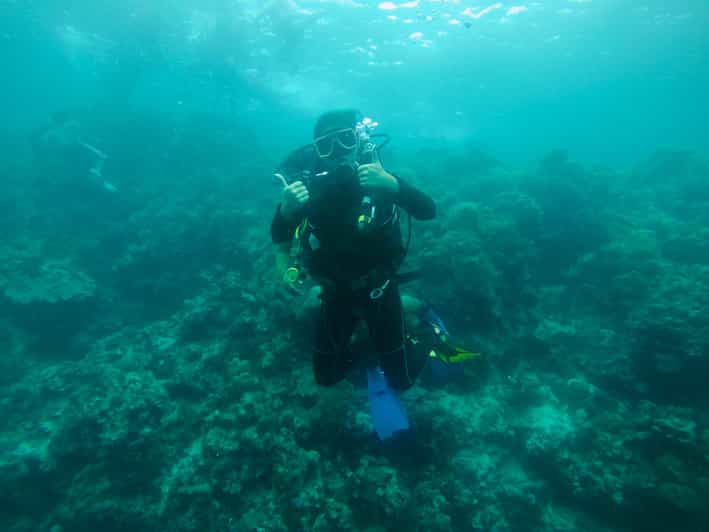 Cebu: Scuba Diving with Sardines and Pescador Island Snorkel | GetYourGuide