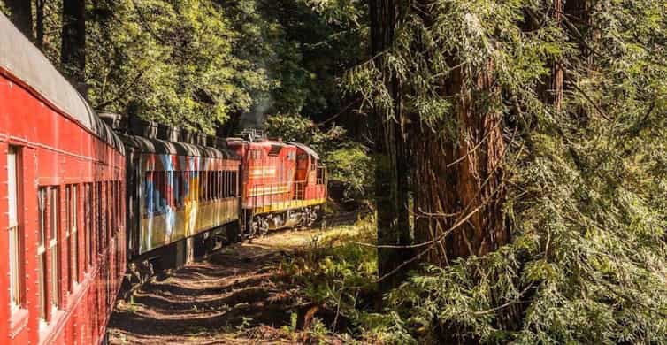 Mendocino County: Skunk Train Pudding Creek Train Ride | GetYourGuide