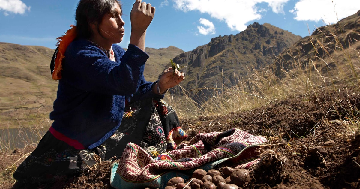 From Cusco: Indigenous Potato Farm Cultural Experience | GetYourGuide