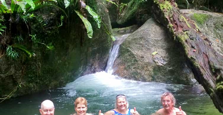 Mossman Gorge: Day Tour with River Drift Experience | GetYourGuide