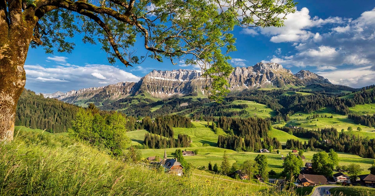 Emmentaler Journey from Zurich:Tour & Cheese Making Workshop | GetYourGuide