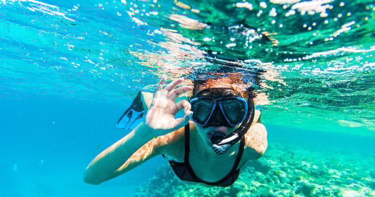 Ras Muhammad National Park: Snorkeling with Optional Dive | GetYourGuide