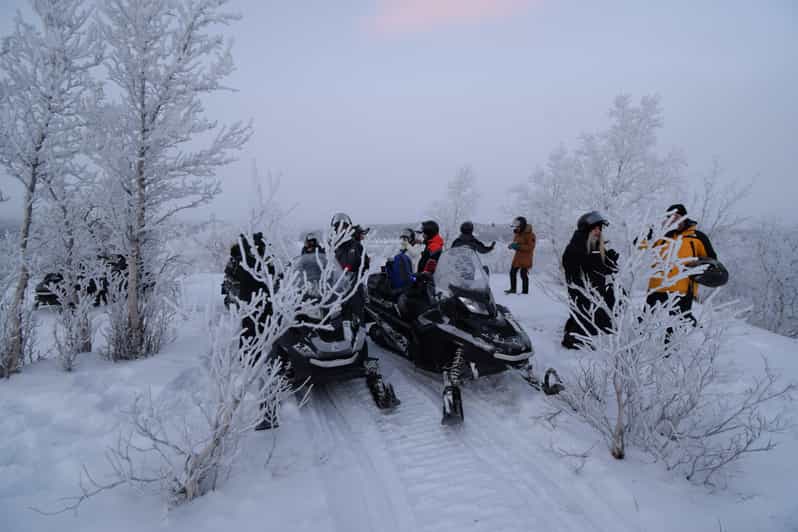 Abisko: Snowmobile Sightseeing Tour | GetYourGuide
