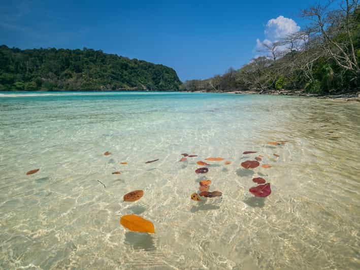 Ko Lanta: Koh Rok and Koh Haa Snorkelling Tour by Speedboat | GetYourGuide