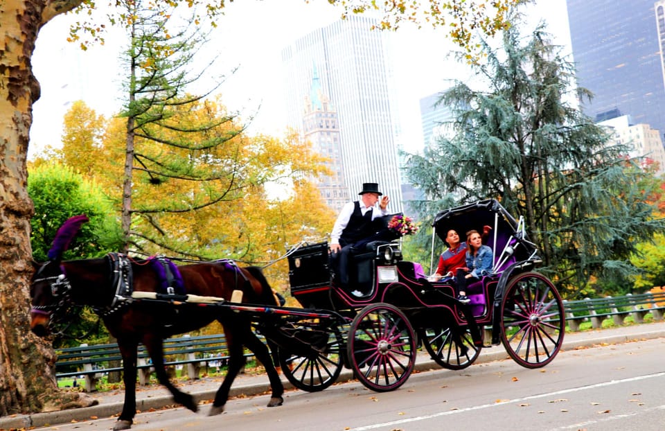 Central Park: Short Horse Carriage Ride (Up to 4 Adults) | GetYourGuide