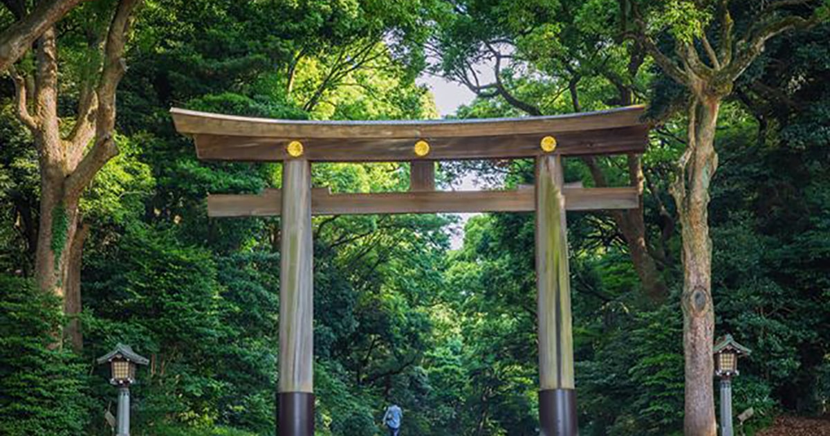 Tokyo: Tur de vizitare a obiectivelor turistice | GetYourGuide