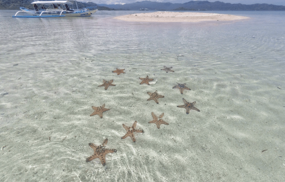 Puerto Barton con Excursión por Tierra de San Vicente (El Nido-Puerto ...