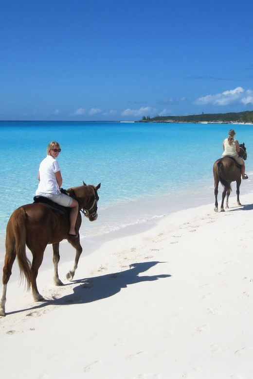 Puerto Plata: Horseback Riding on the Beach | GetYourGuide