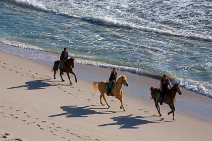 Puerto Plata: Horseback Riding on the Beach | GetYourGuide