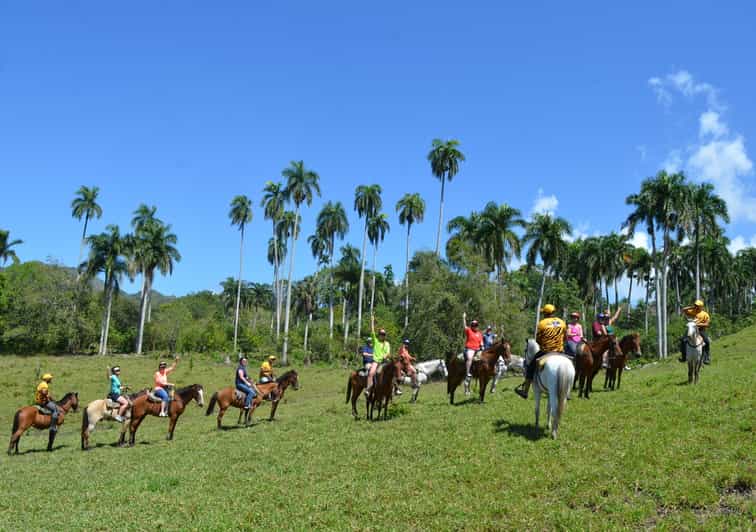 Puerto Plata Combo Experience: Zip-line + Horseback Riding | GetYourGuide